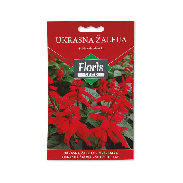 FLORIS-Cveće-Ukrasna Žalfija (Salvija) 0,3g