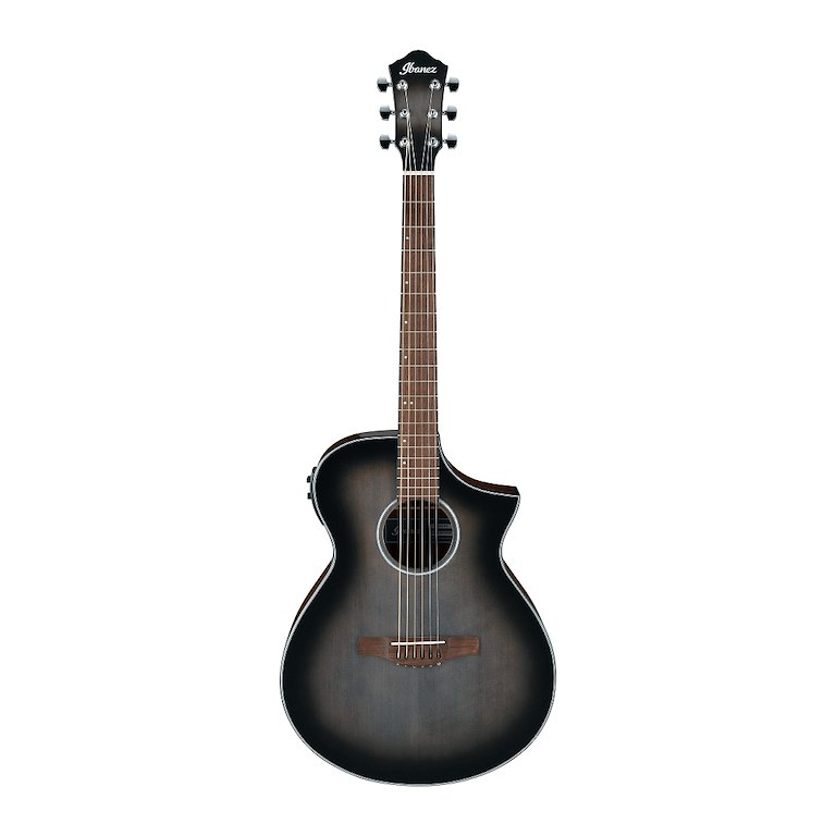 Takamine GD10CE-NS akustična ozvučena gitara