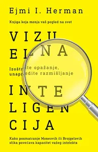 Vizuelna inteligencija