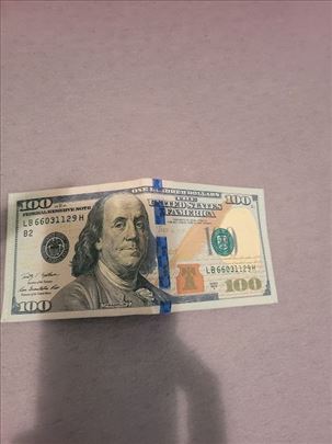 Novcanik u obliku 100 dolara