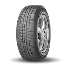 Goodyear 255/40R19 100Y EAG F1 ASY AO XL FP