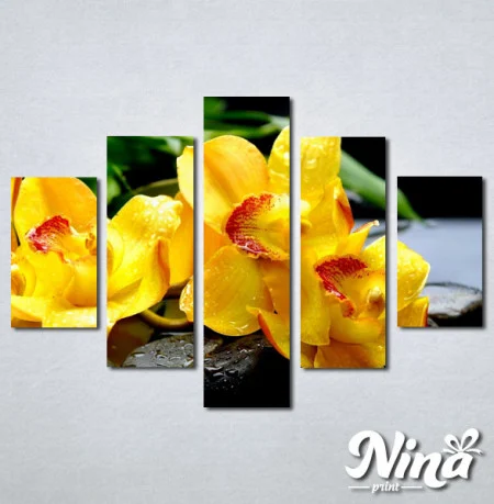 Slike na platnu Žuta orhideja Nina252_5