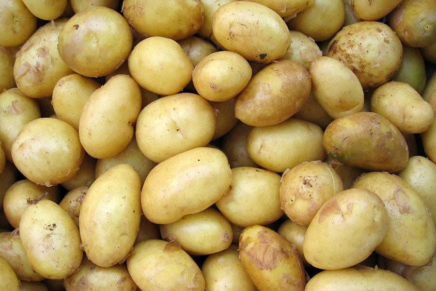 Mladi krompir BELI