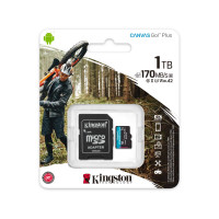 1TB Kingston SDCG3/1TB