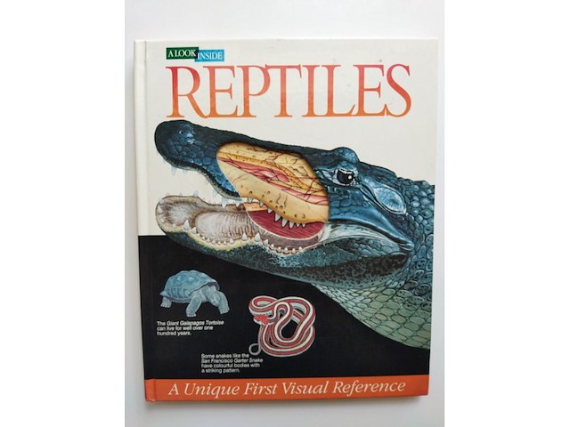 Reptiles- A LOOK INSIDE, June Chatfield