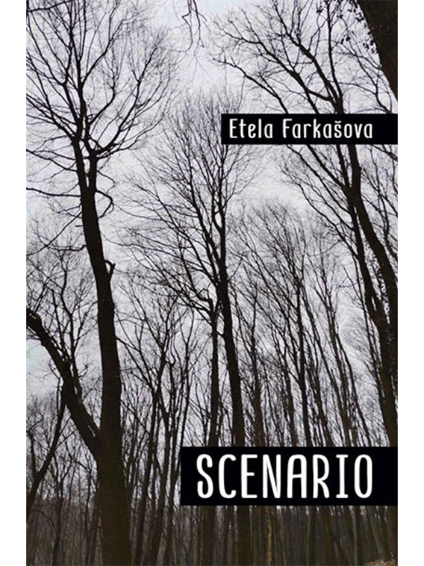 Scenario