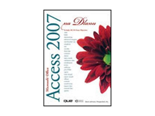 Access 2007 na dlanu - Steve Johnson