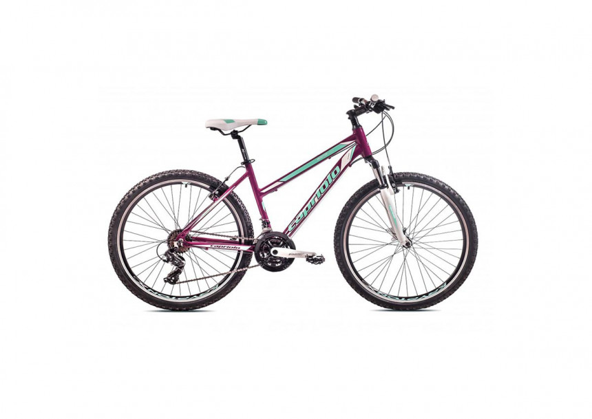 Bicikl Capriolo MTB MONITOR FSL 26" 21AL bordo-ti rkiz 2019 (919448-17)