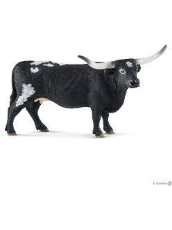 Texas Longhorn Krava