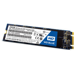 WD 250GB Blue SATA III M.2 Internal SSD