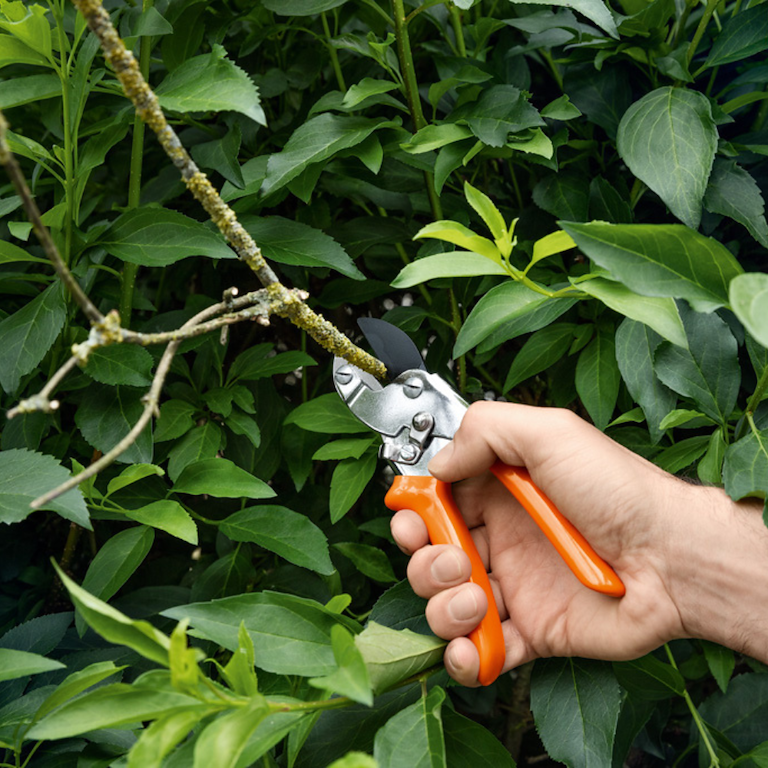 STIHL – Makaze za baštu Ambos – PG25