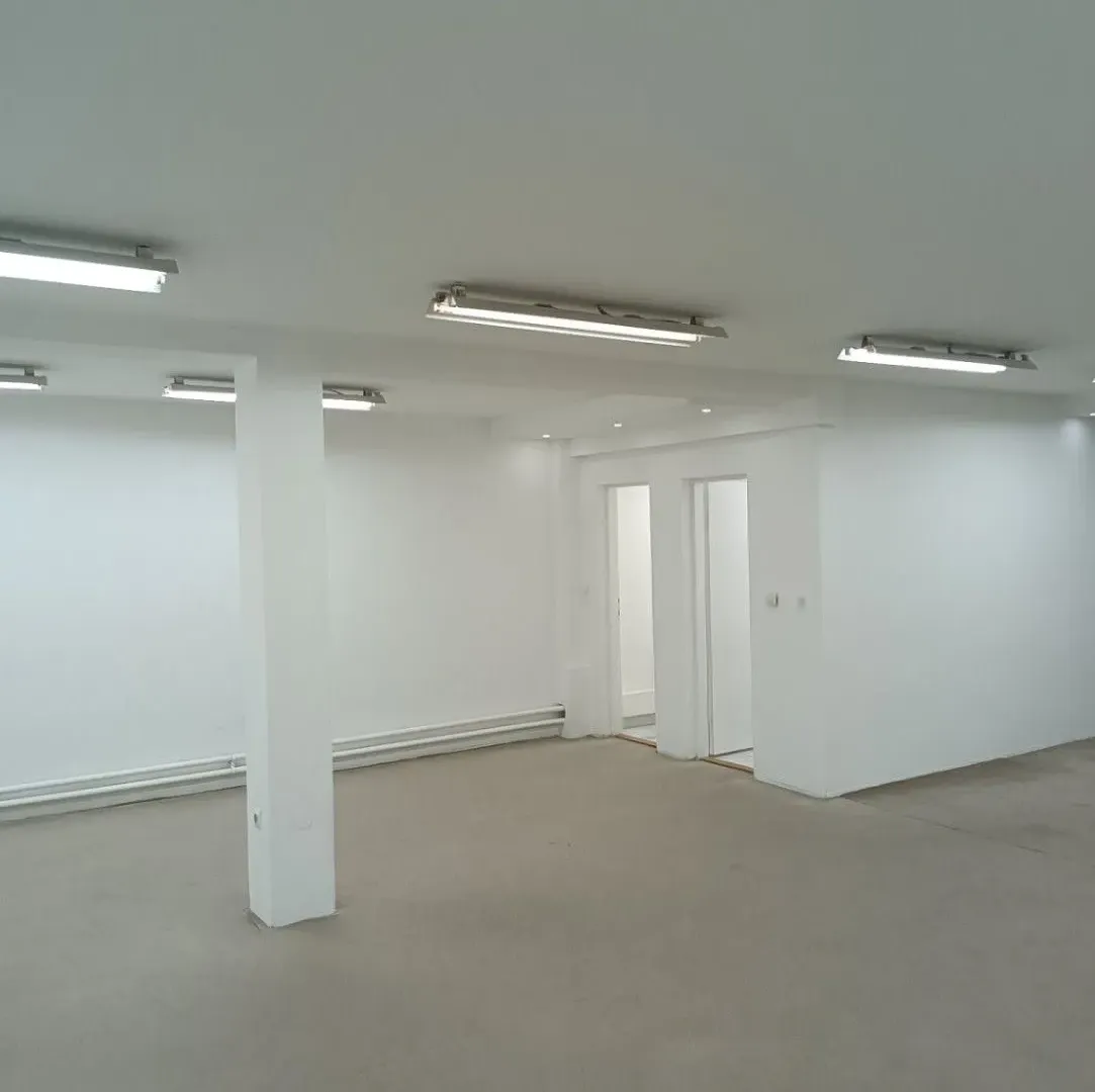 Izdavanje, poslovni prostor, 120m², Vračar Centar, Vračar Sve Podlokacije