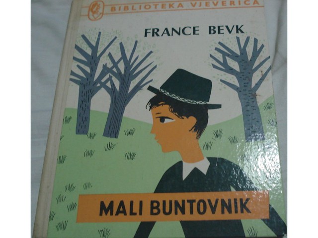 Mali buntovnik