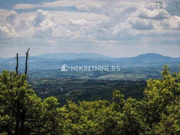 Izuzetan plac na Kosmaju, Drenjak