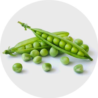 Kuantum Pea