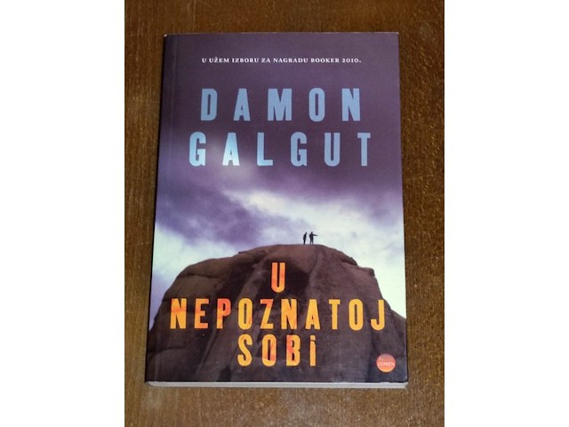 U nepoznatoj sobi - Damon Galgut