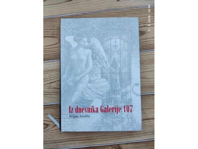 Iz dnevnika Galerije 107-Biljana Amidzic