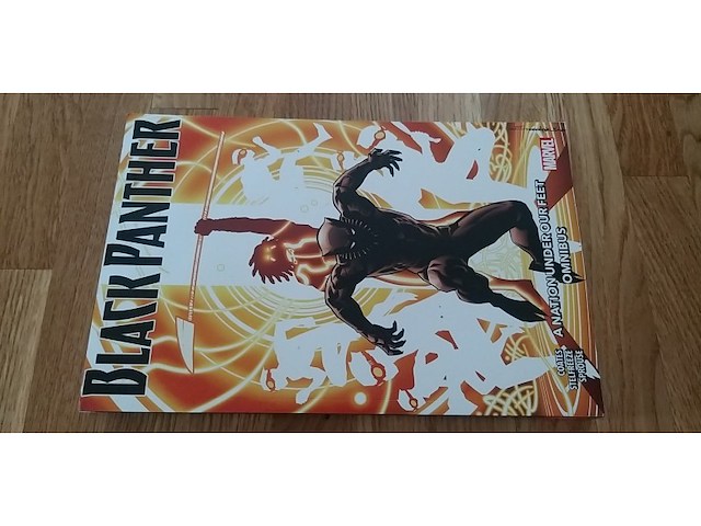 Black Panther: A nation under our feet omnibus TPB