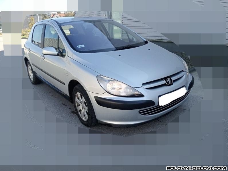 Peugeot 307 Benzin Dizel Svetla I Signalizacija