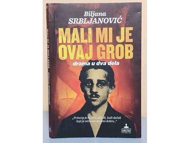 MALI MI JE OVAJ GROB Biljana Srbljanović