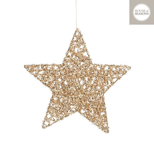 NG dekoracija - HANGING ORNAMENT STAR 25cm 1162439 - Champagne - EDL