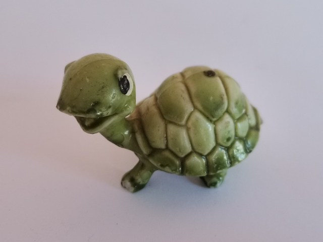 tortles vankinder