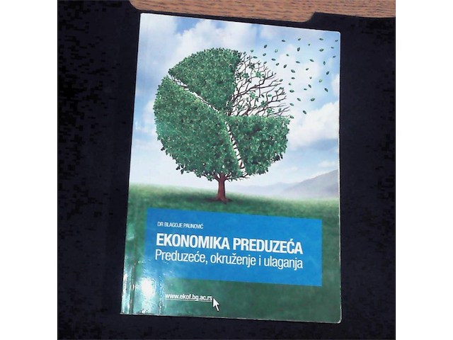 Blagoje Paunovic ➡️ Ekonomika preduzeća ➡️ 2013