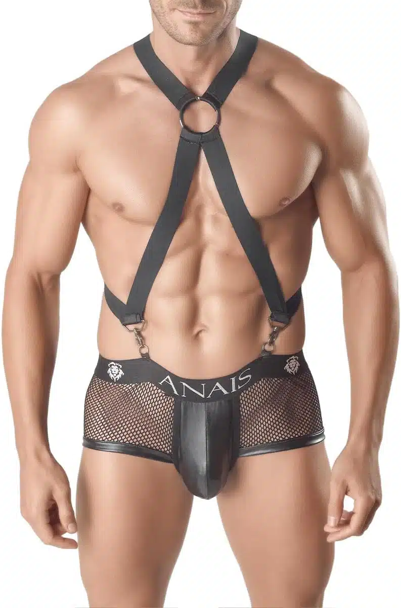 Axel harness L/XL