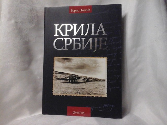 Krila Srbije Boris Ciglić istorija vazduhoplovstva Srbi