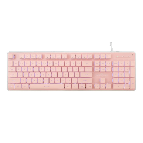 WS GK 003441 TACHI Pink, Keyboard - US