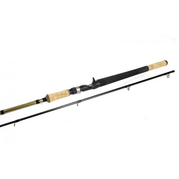 WALKER CAST 2.58m 30-80g