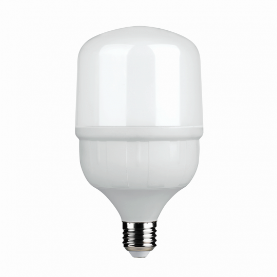 LED sijalica 30W E27 6500K hladno bela