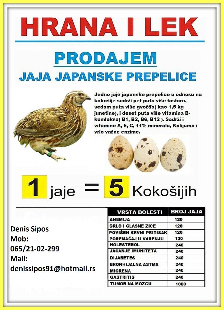 Jaja Japanske prepelice