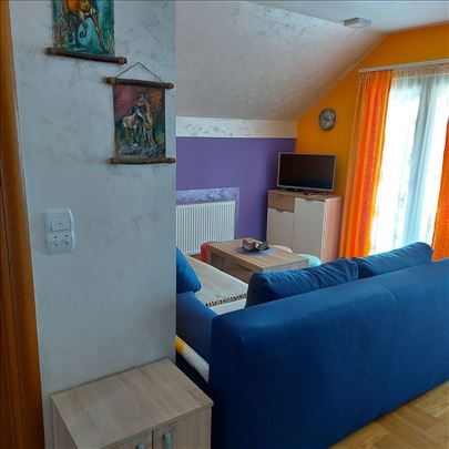 Apartman Mitrović, slobodan od 03-10.01