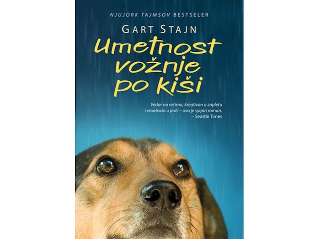 Umetnost vožnje po kiši - Gart Stajn