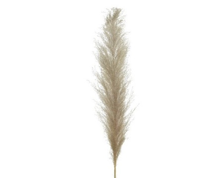 Dekordom novogodišnji cvet - pampas grass 125cm 837160 - natural - kmg ( 041210 )