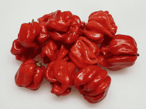 Slatki Habanero