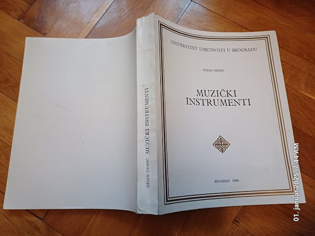 DEJAN DESPIĆ, MUZIČKI INSTRUMENTI