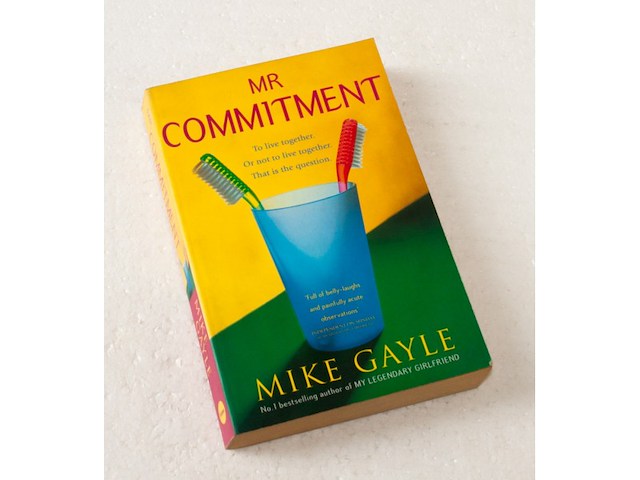 Mr Commitment, Mike Gayle