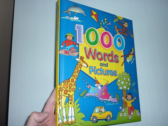 1000 WORDS AND PICTURES