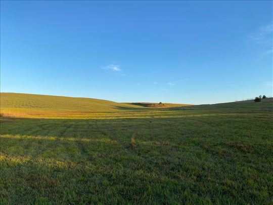 Zlatibor parcela 8 hektara