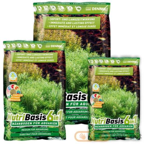 Nutri basis 6 in 1