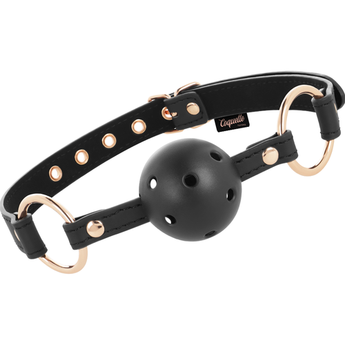 Chic desire breathable gag