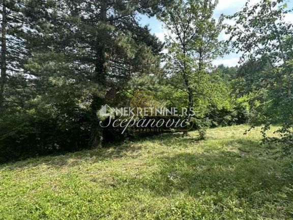 Petrovaradin, Popovica, Zemljište, 721ari, 110000 EUR