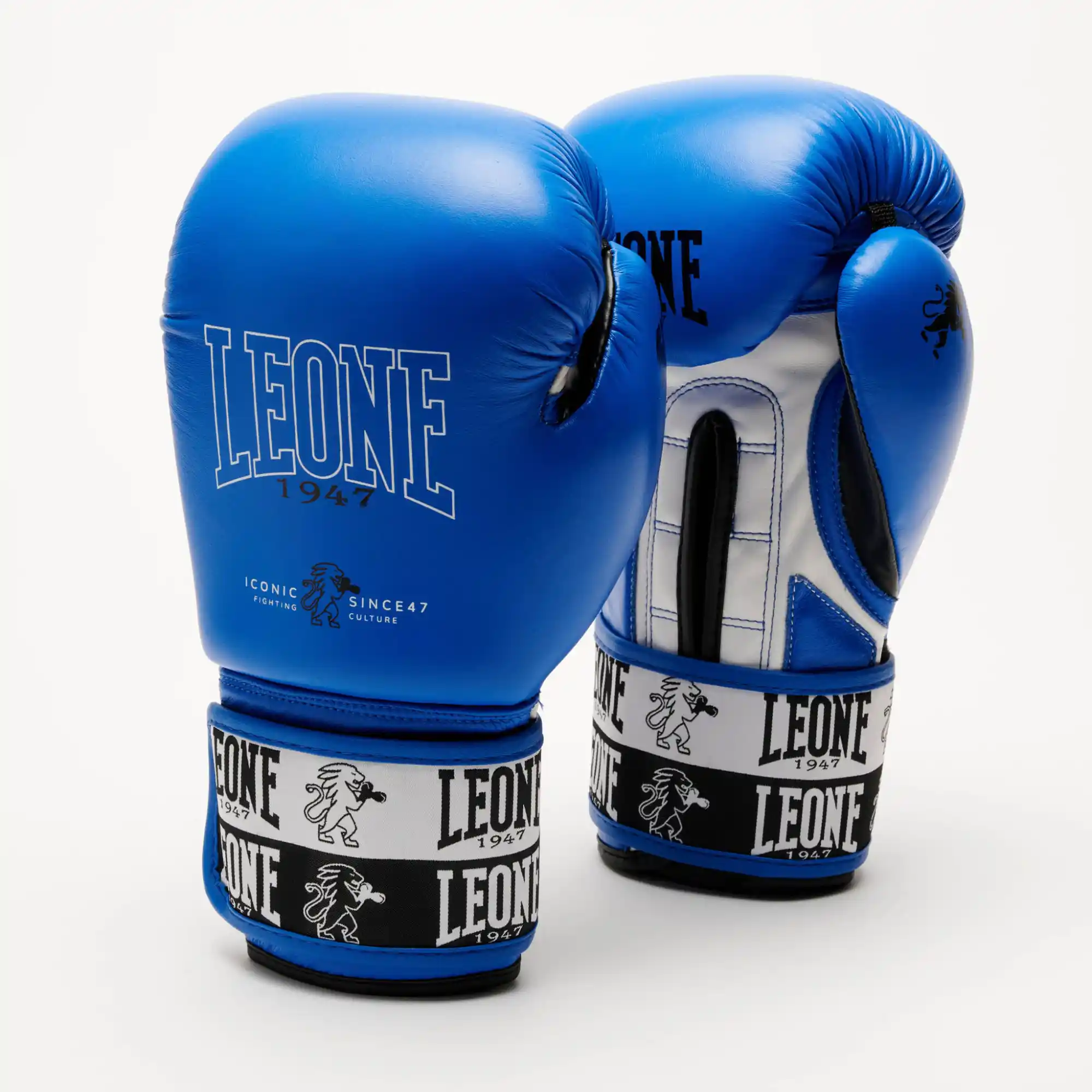 ICONIC BOXING GLOVES