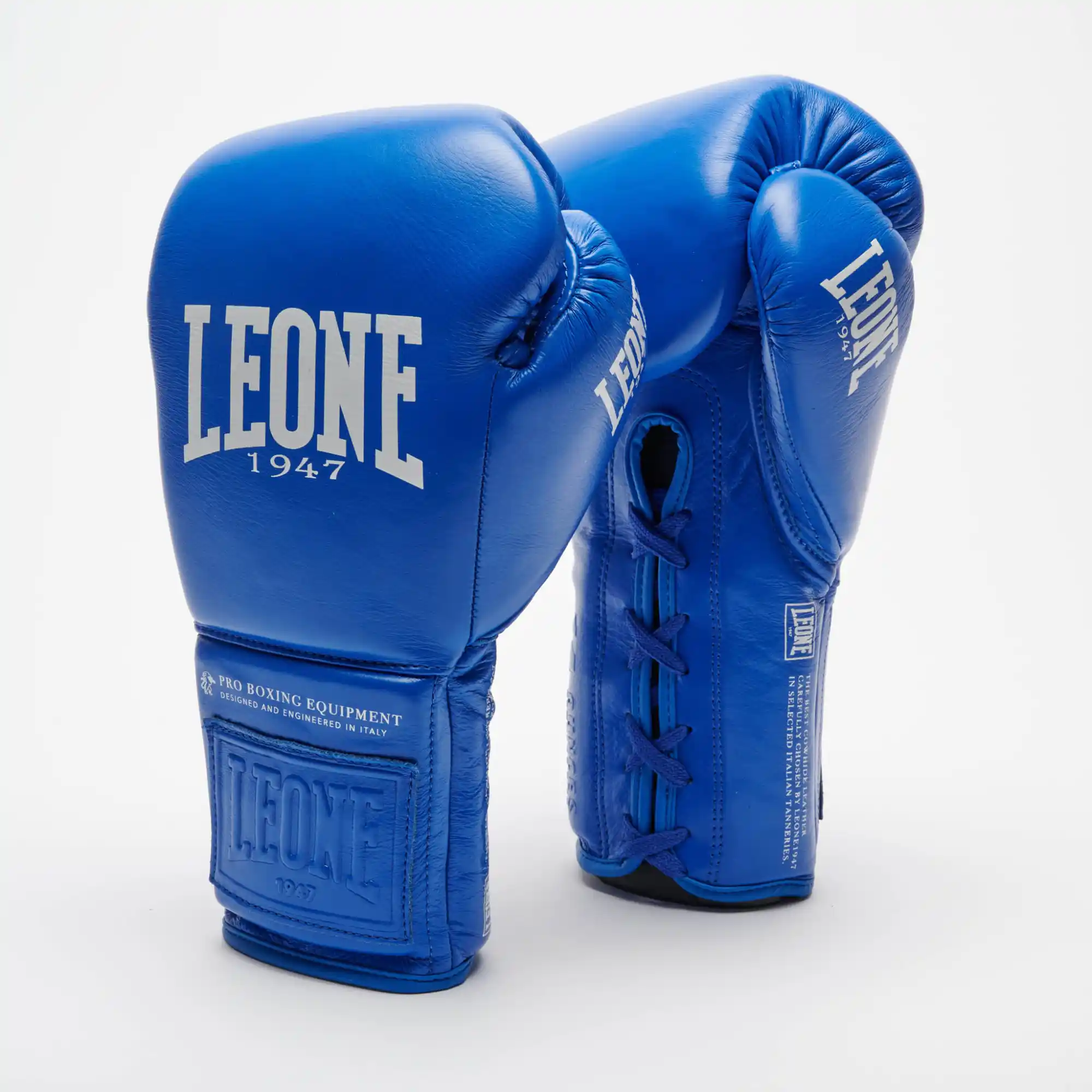 THE GREATEST BOXING GLOVES