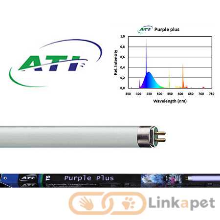 ATI Puprle Plus 80W