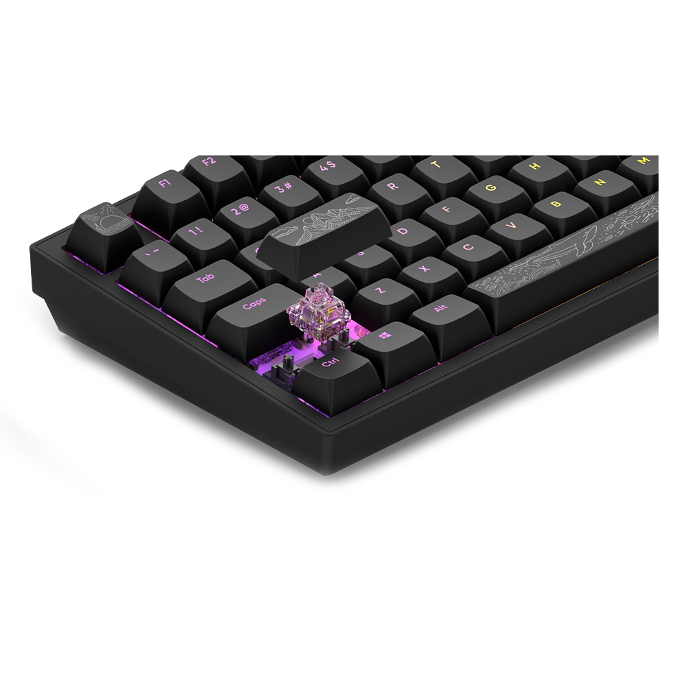 Dark Project ALU Terra Nostra Black - Wired Gaming Keyboard (ANSI)