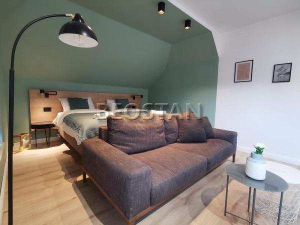 Bezanijska, Jednoiposoban stan za izdavanje, 40m2, 600€