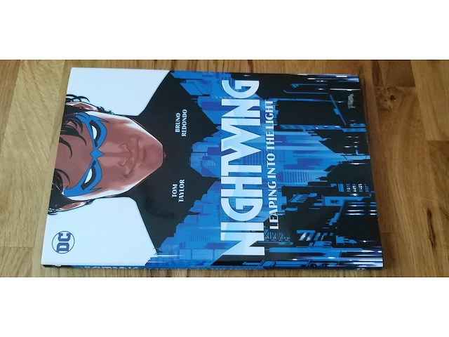 Nightwing: Leaping into the light HC